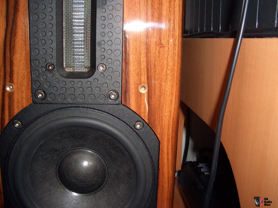 Red Rose Music ROSEBUD II with matching stands Photo #1280900 - UK ...