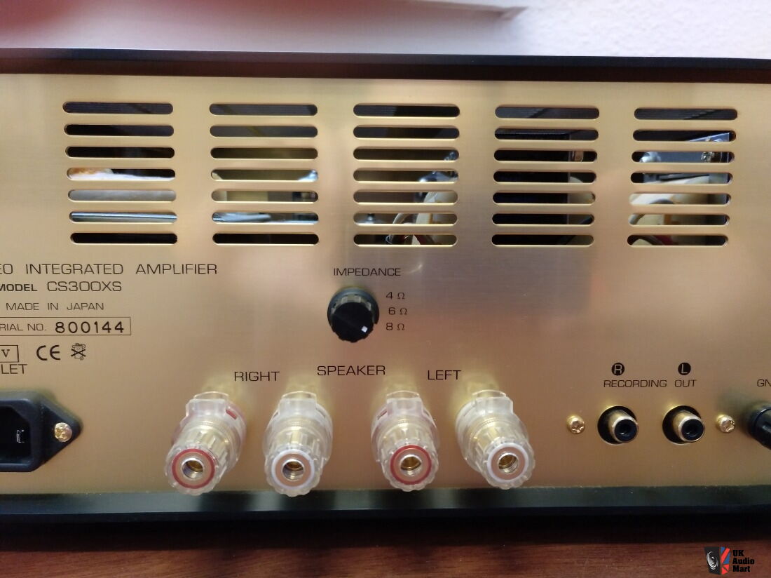 Leben CS-300X(S) Photo #2027264 - UK Audio Mart