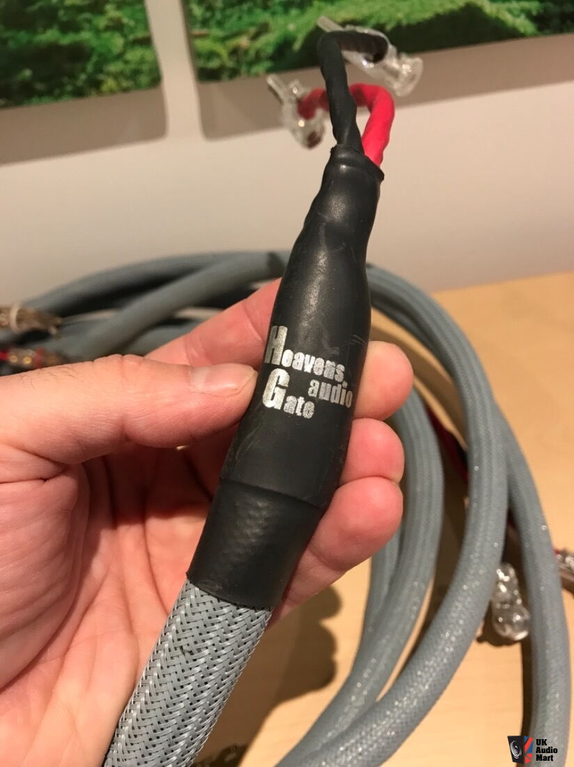 Heavens Gate Audio Ultra Silence speaker cables 2x3m Photo #2196098 ...