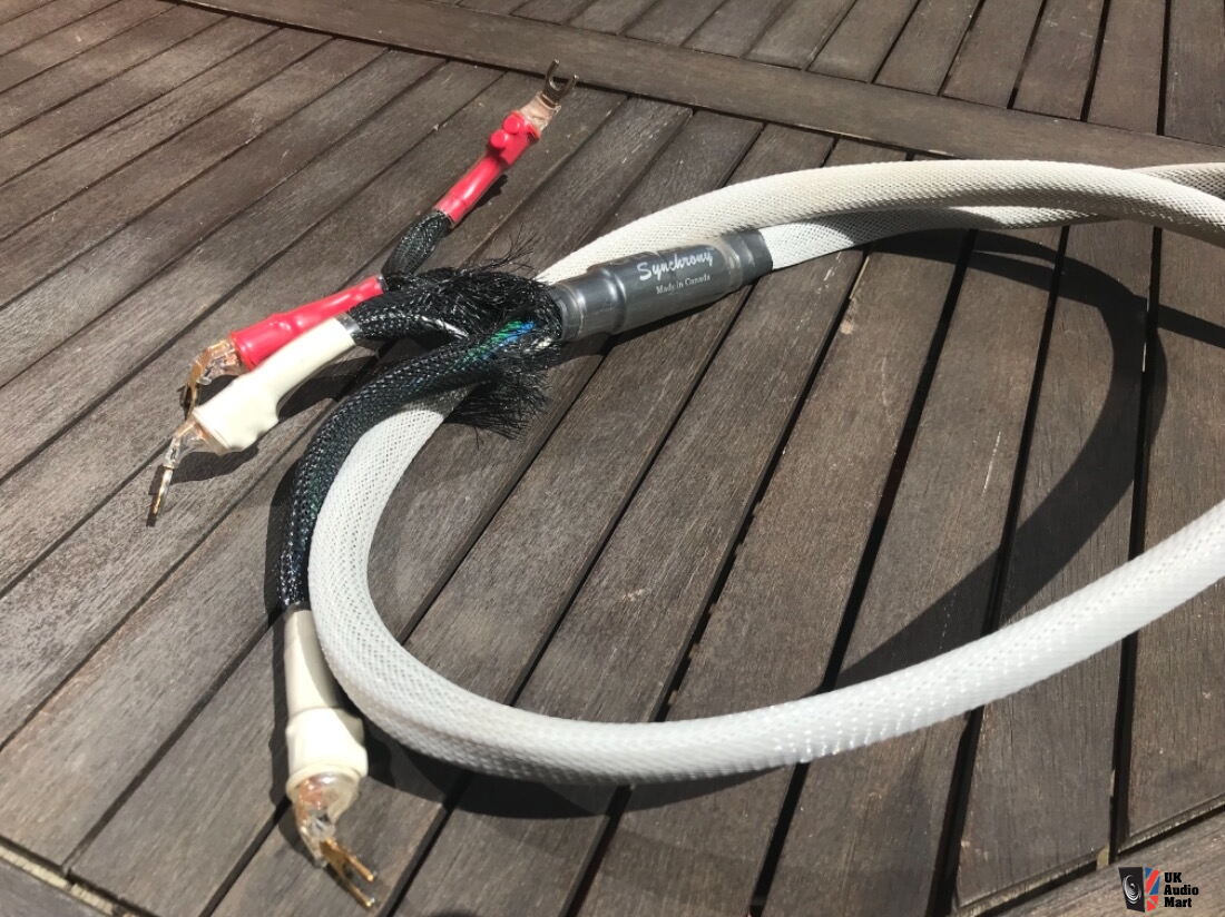 Gutwire Synchrony Speaker cables 2x 3.9m For Sale - UK Audio Mart