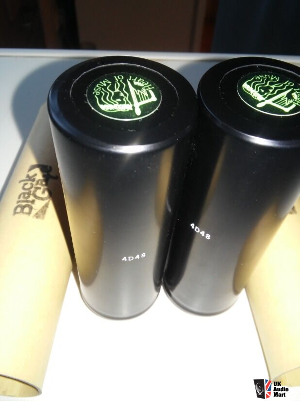 Rubycon Black Gate WKZ capacitor 220 mF + 220 mF 350V Heart of Muse NEW ...