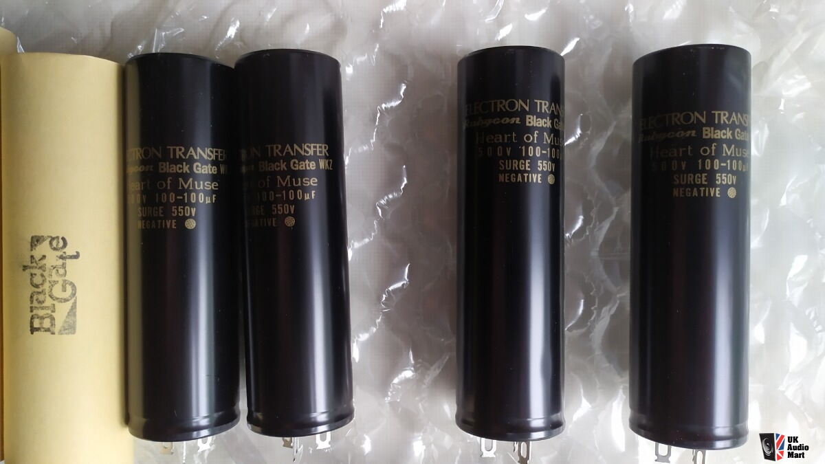 Rubycon Black Gate WKZ capacitor 100 mF + 100 mF 500v Heart of Muse NEW ...