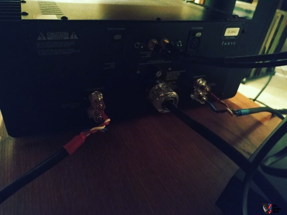 Forte model 6 Photo #3934783 - UK Audio Mart