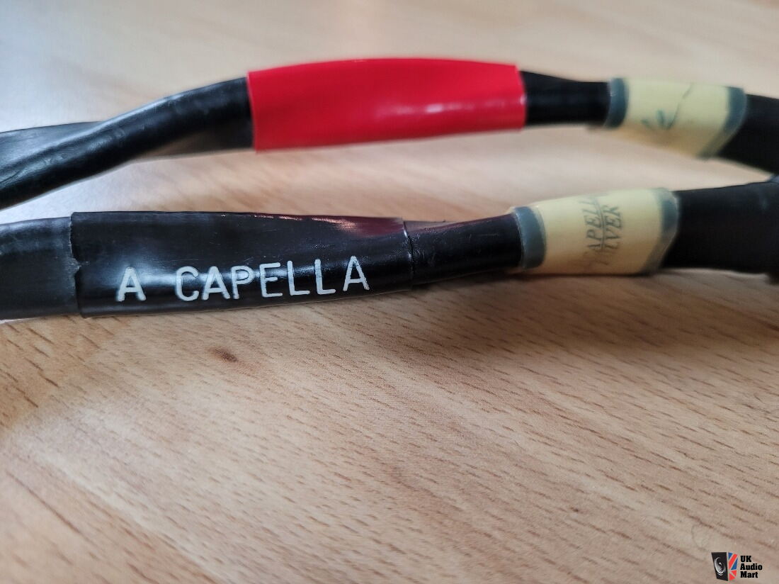 1 mtr Acapella Silver wire interconnects with WBT-0110 CU nextgen RCA ...