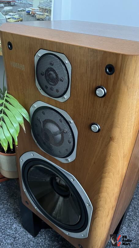 Yamaha NS2000