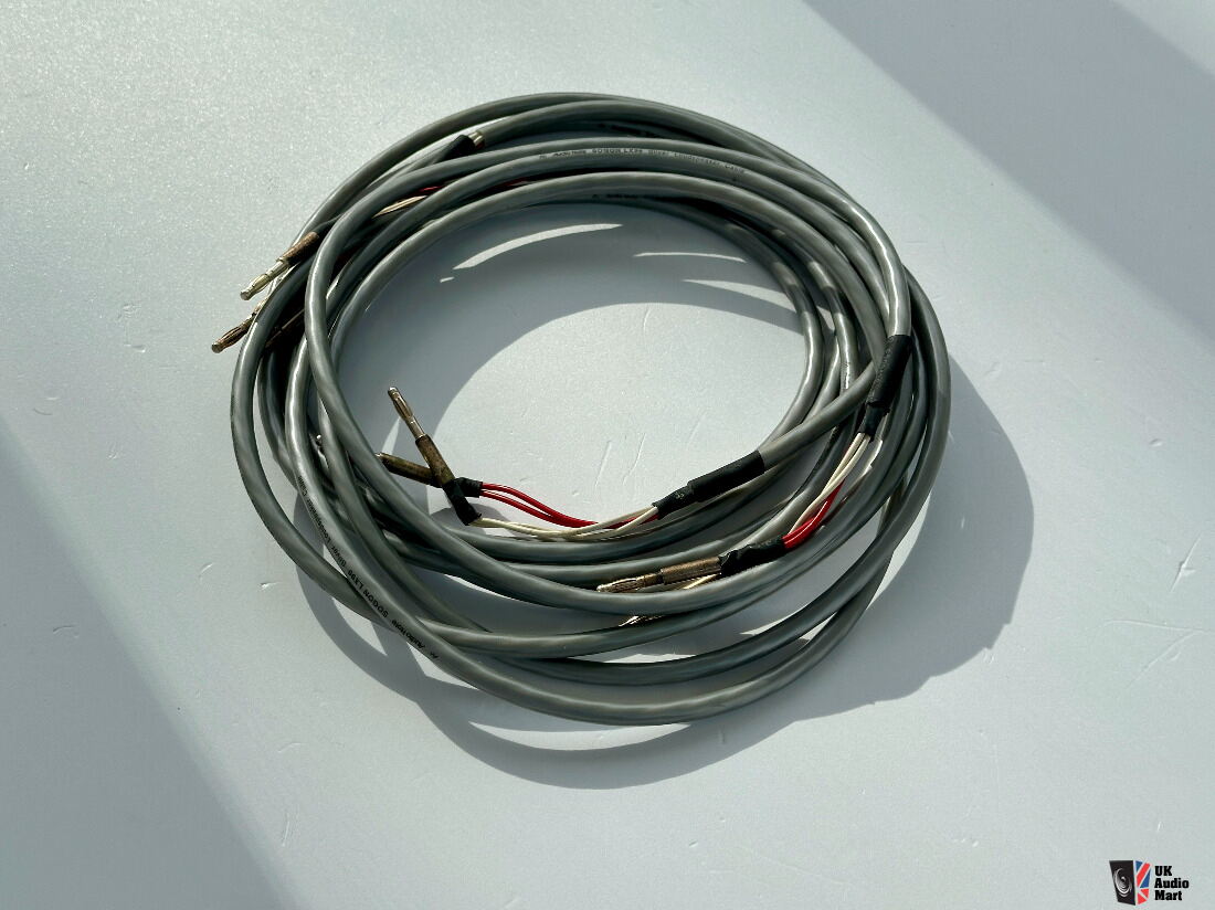 Audio Note SOGON Silver Speaker Cables 3M Stereo Set Photo #5172388 ...