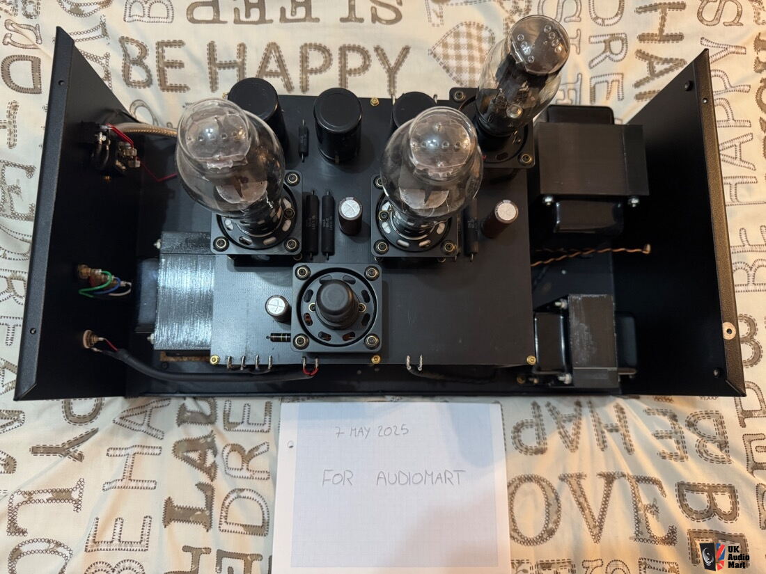HAND MADE- ANK custom 300b monoblocks Photo #5654022 - UK Audio Mart