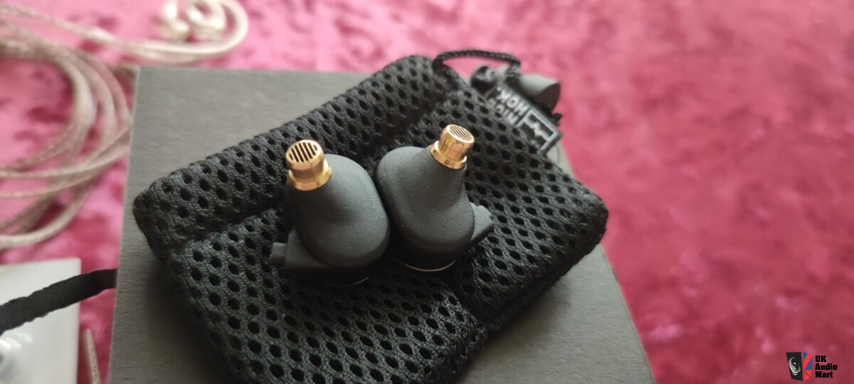 SoundFactor v6 Victory Bionic Sound - AMT Heil IEM full range IEM Photo ...