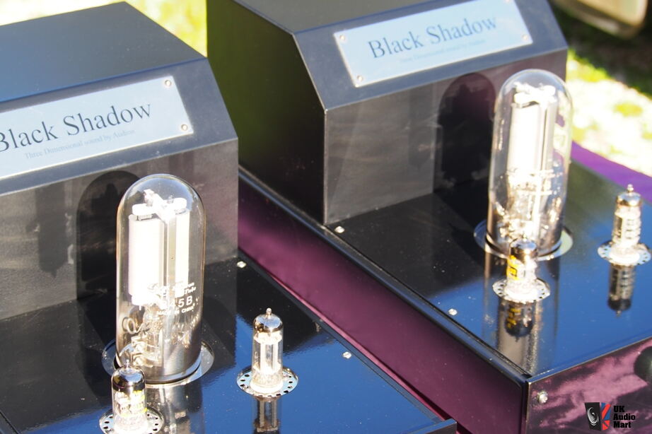 AUDION Black Shadow 845 tube mono amplifier Photo #764639 - UK Audio Mart